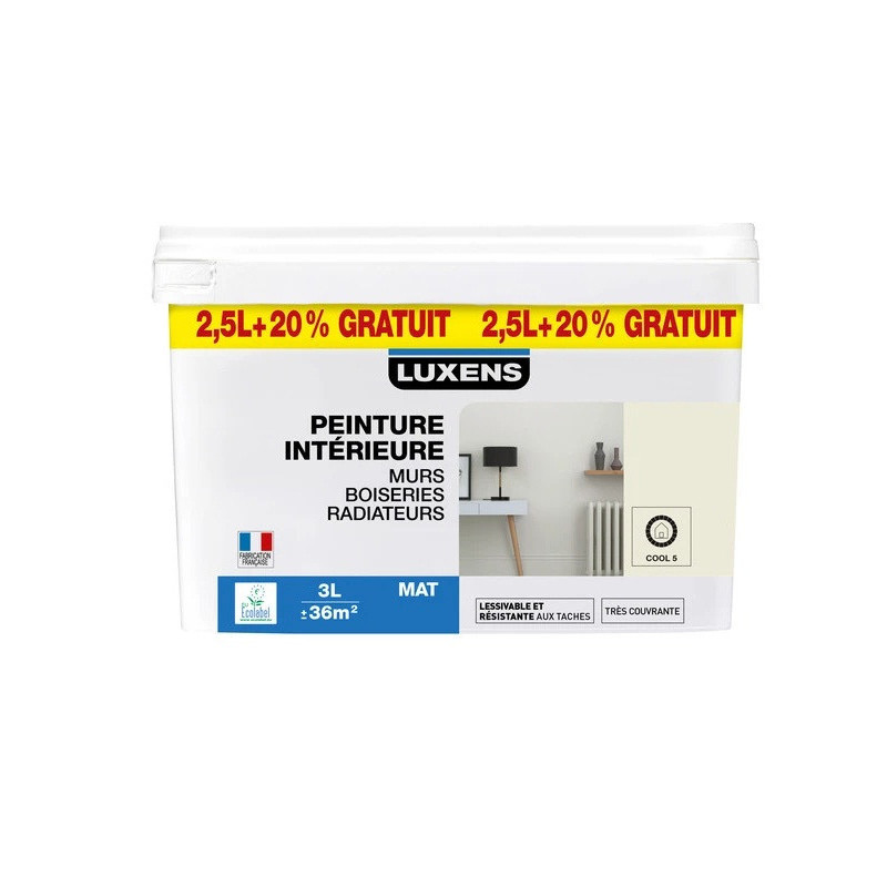 PEINTURE BLANC MAT 2.5 L + 20