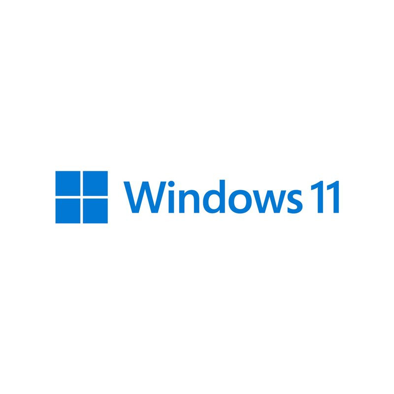 Système Windows 11 Pro 64 bits - MICROSOFT - LOG_WIN_11_PRO_64