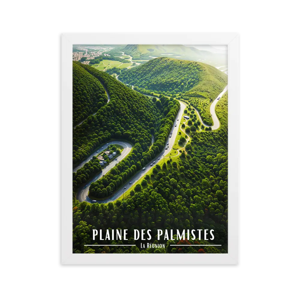 Plaine des palmistes 61 × 91 cm