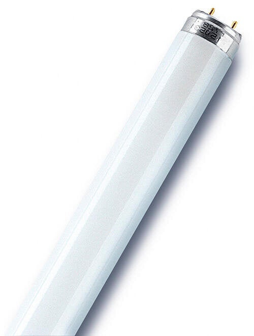 TUBE FLUORESCENT TRANSPARENT 30W840 ACTIVE
